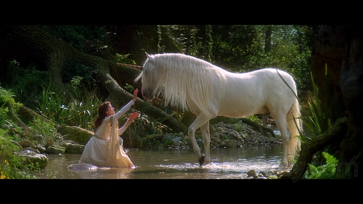 [Bea’s Reviews] Legend [1985] | The Super Network